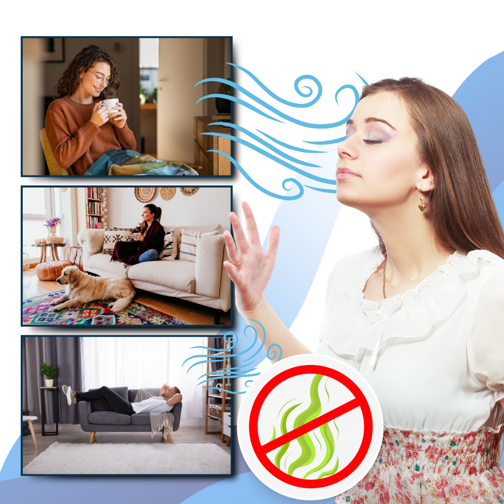 Ultravex - Fast Control of Bed Bugs and Germs for Safer Homes – Bright ...